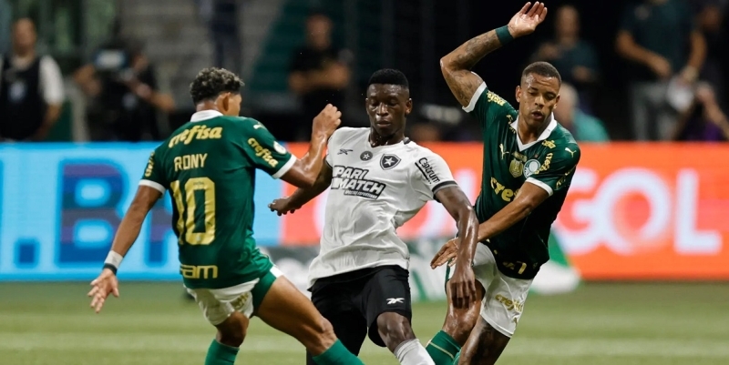 Cruzeiro vs Palmeiras Prediction and Betting Tips (05.12.2024)