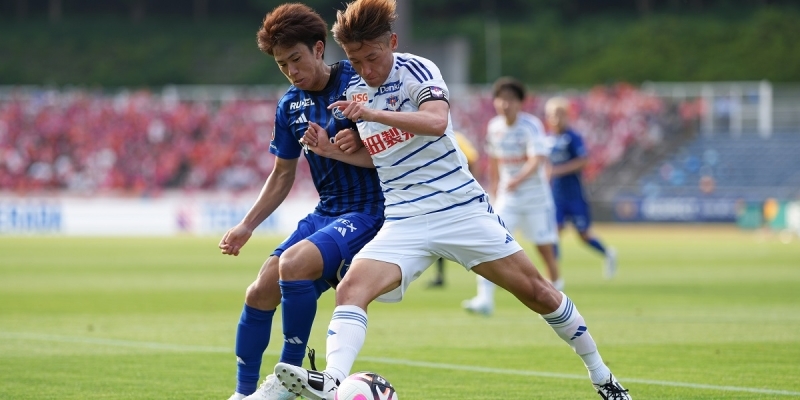 Fagiano Okayama FC vs Albirex Niigata Prediction and Betting Tips (18. ...